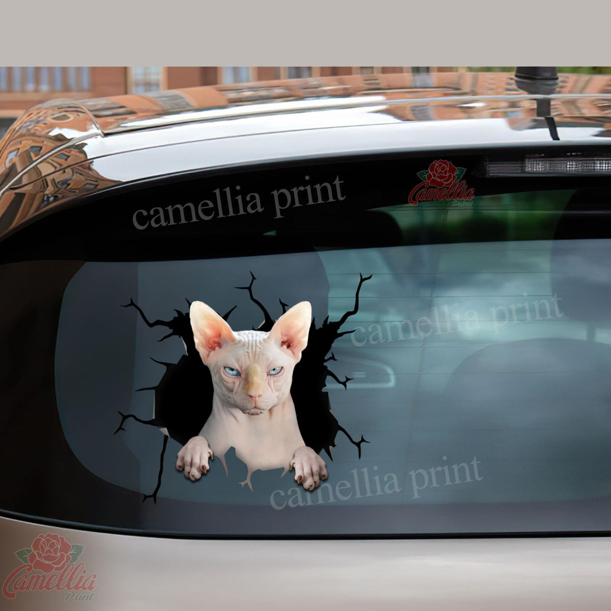 sphynx cat sticker cats lover – Camellia Print